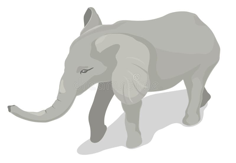 Isometric Elephant Vector Illustration with White Background. Stock ...