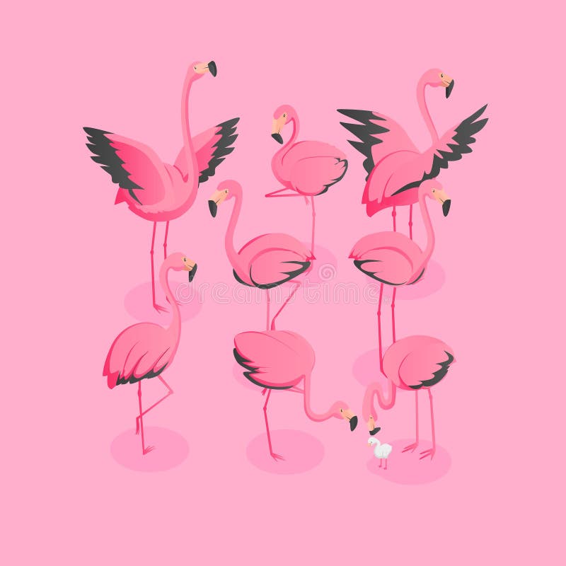 Cartoon Group Flamingos Stock Illustrations – 63 Cartoon Group ...