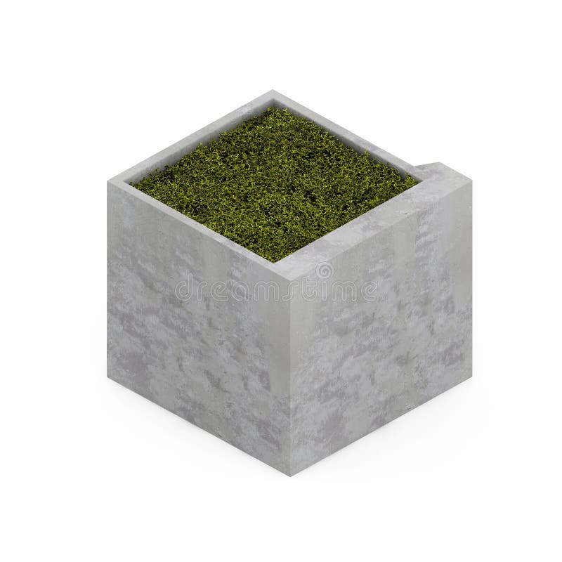 Isometric Flower 3D Rendering Stock Illustration - Illustration of ...