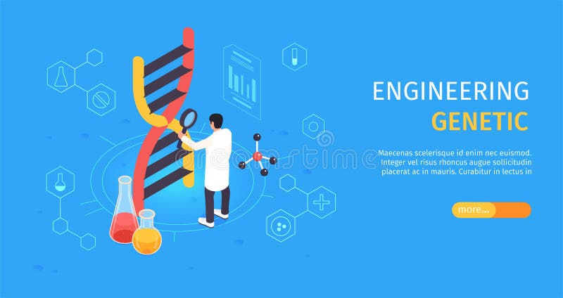 Isometric Genetic Engineering Infographics Stock Vector - Illustration ...