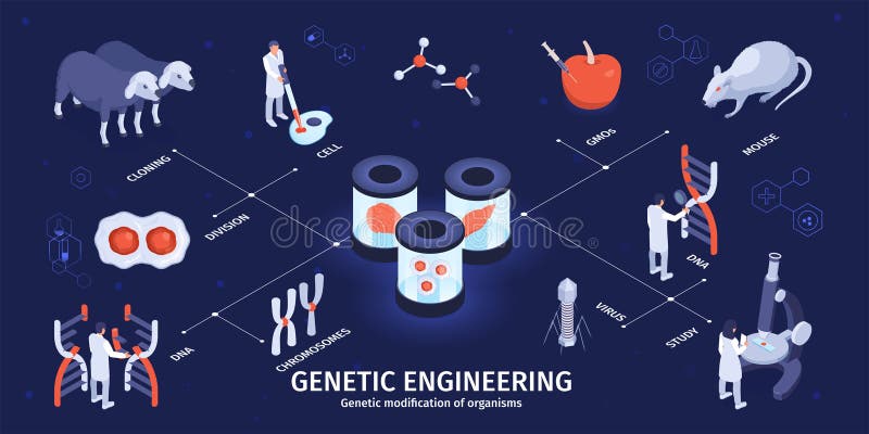 Isometric Genetic Engineering Infographics with Cells Cloning and Virus ...