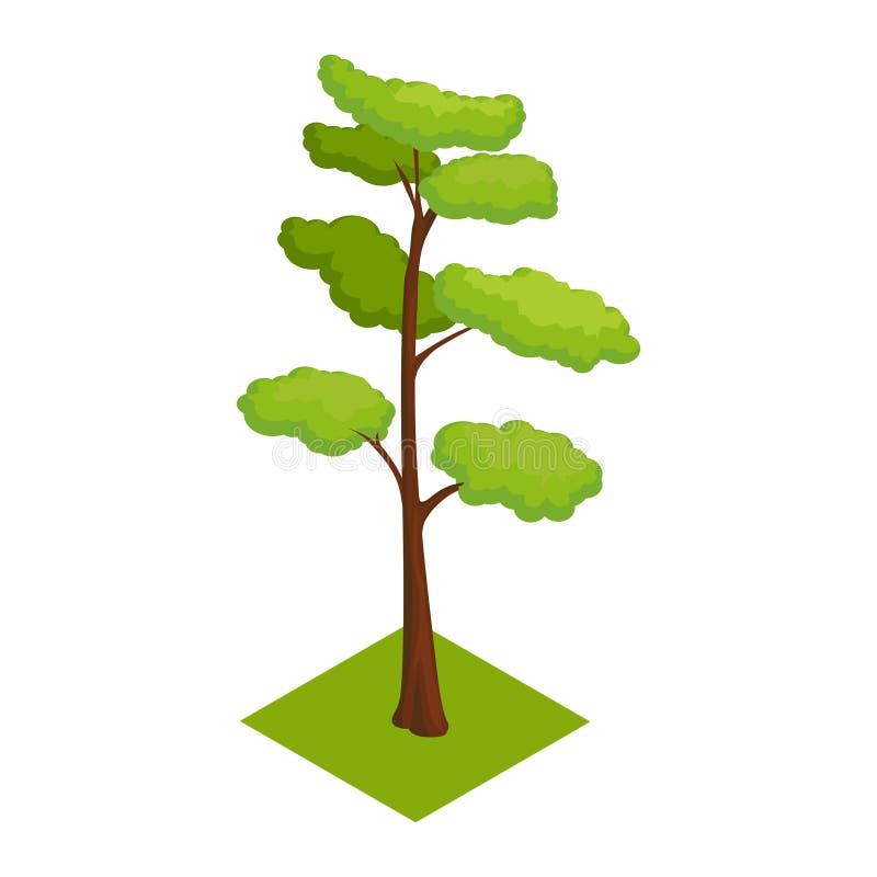 Isometric Tree Icon stock vector. Illustration of trunk - 220002302