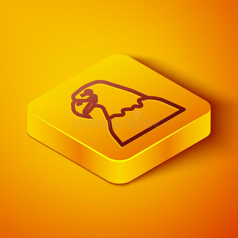 Isometric Line Eagle Head Icon Isolated on Orange Background. Animal ...