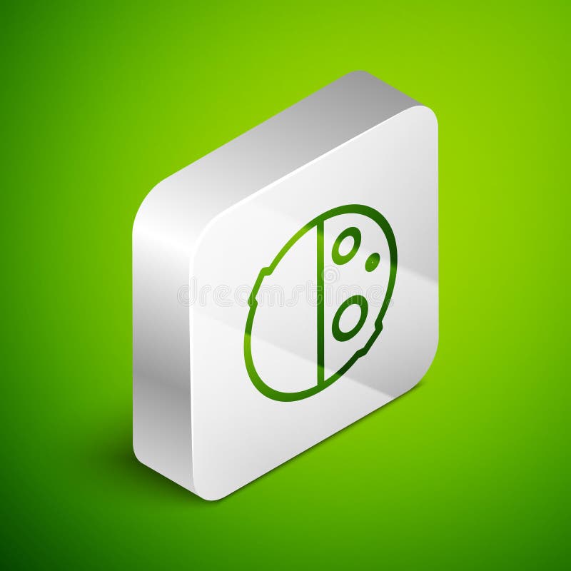 Isometric Line Eclipse of the Sun Icon Isolated on Green Background ...