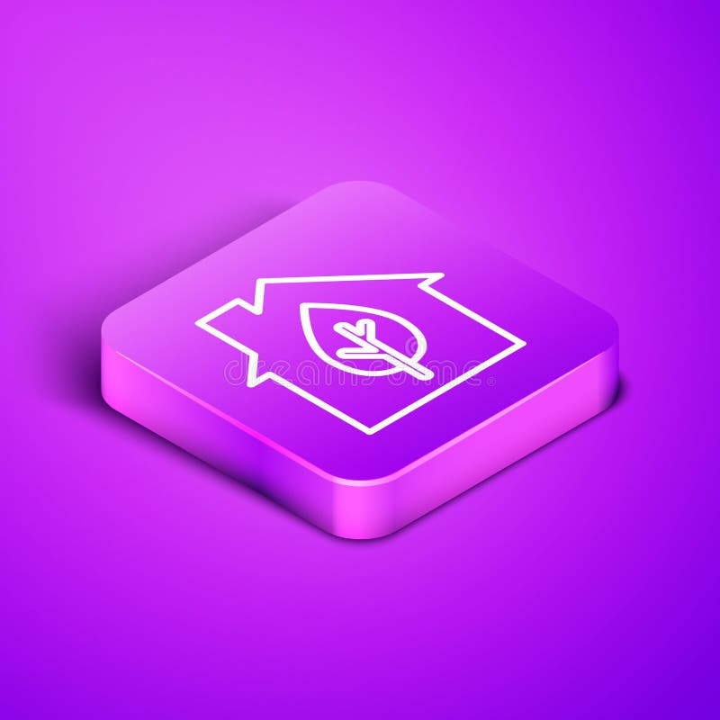 Isometric Line Eco Friendly House Icon Isolated on Purple Background ...