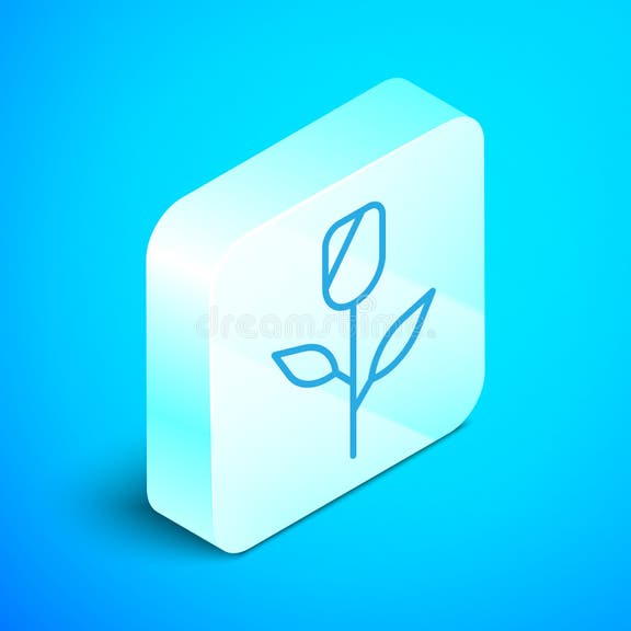 Isometric Line Flower Rose Icon Isolated on Blue Background. Silver ...