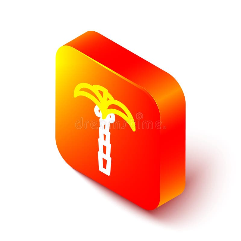 Isometric Line Tropical Palm Tree Icon Isolated on White Background ...