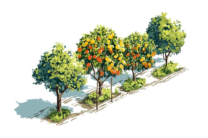 Isometric Orchard with Apple or Orange Trees Isometric Isolated Stock ...