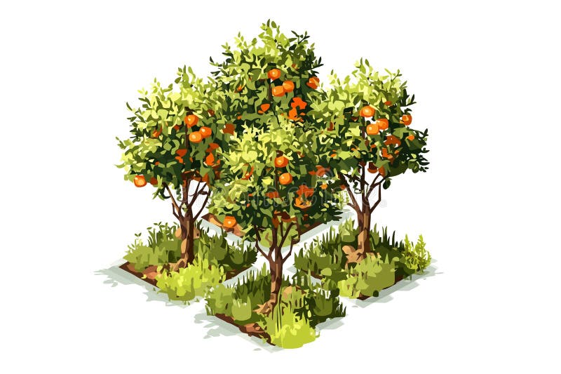Isometric Orchard with Apple or Orange Trees Isometric Isolated Stock ...