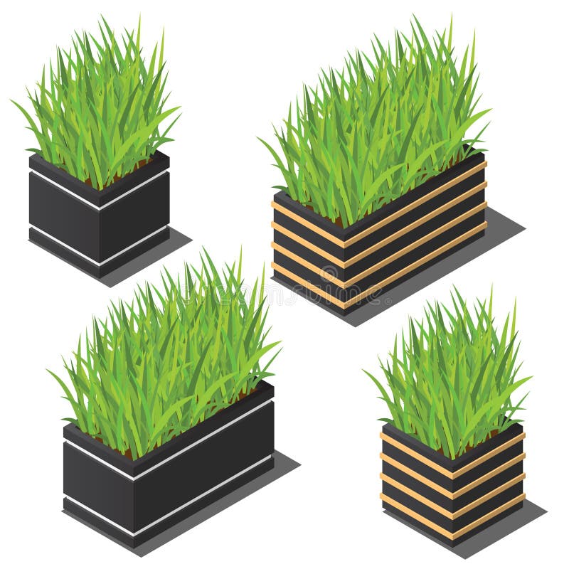 Isometric Plant in Modern Pot Small Set. Fresh Green Herbs. Stock ...