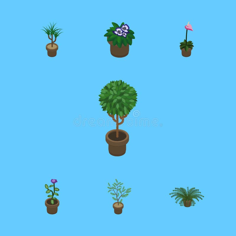 Isometric Plant Set of Flower, Tree, Grower and Other Vector Objects ...