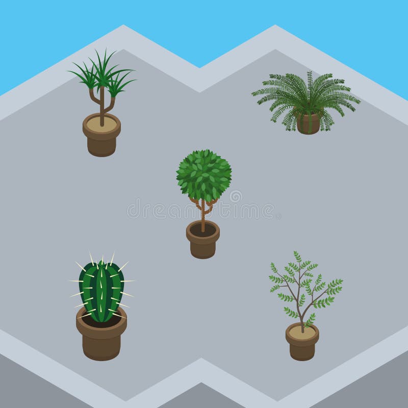 Isometric Plant Set of Tree, Fern, Plant and Other Vector Objects. Also ...