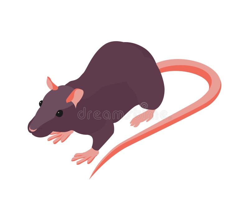 Isometric Rat Stock Illustrations – 825 Isometric Rat Stock ...