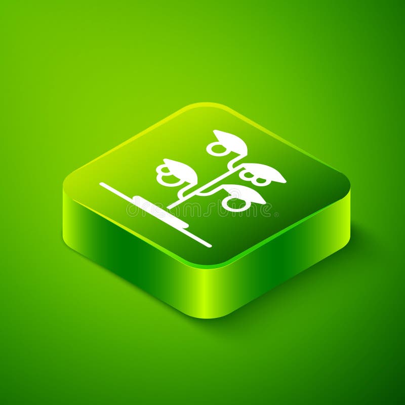 Isometric Sprout Icon Isolated on Green Background. Seed and Seedling ...