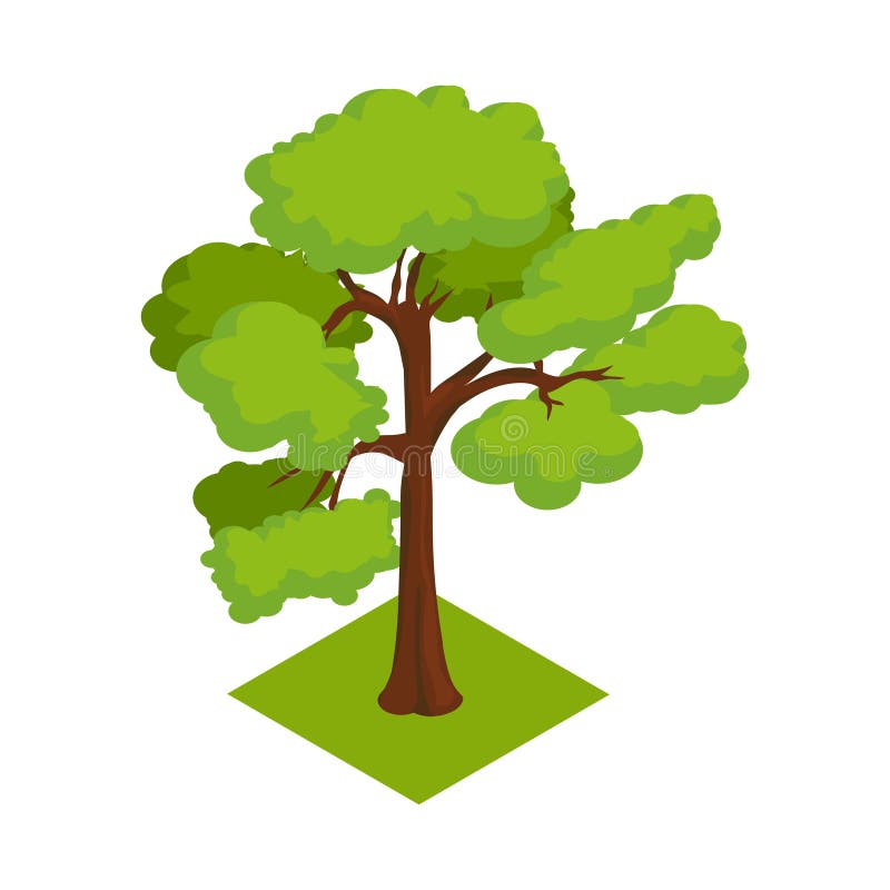 Isometric tree stock vector. Illustration of object, item - 41205218