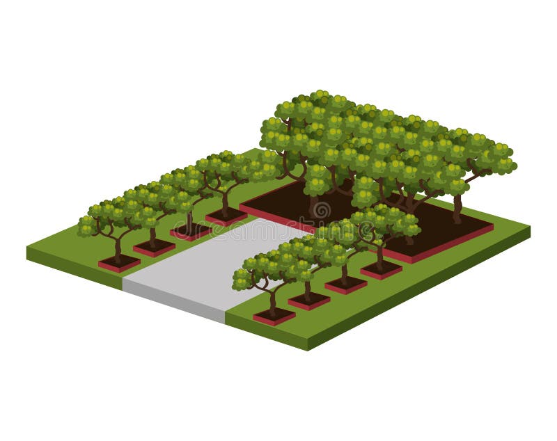 Isometric trees elements stock vector. Illustration of graphic - 69498130