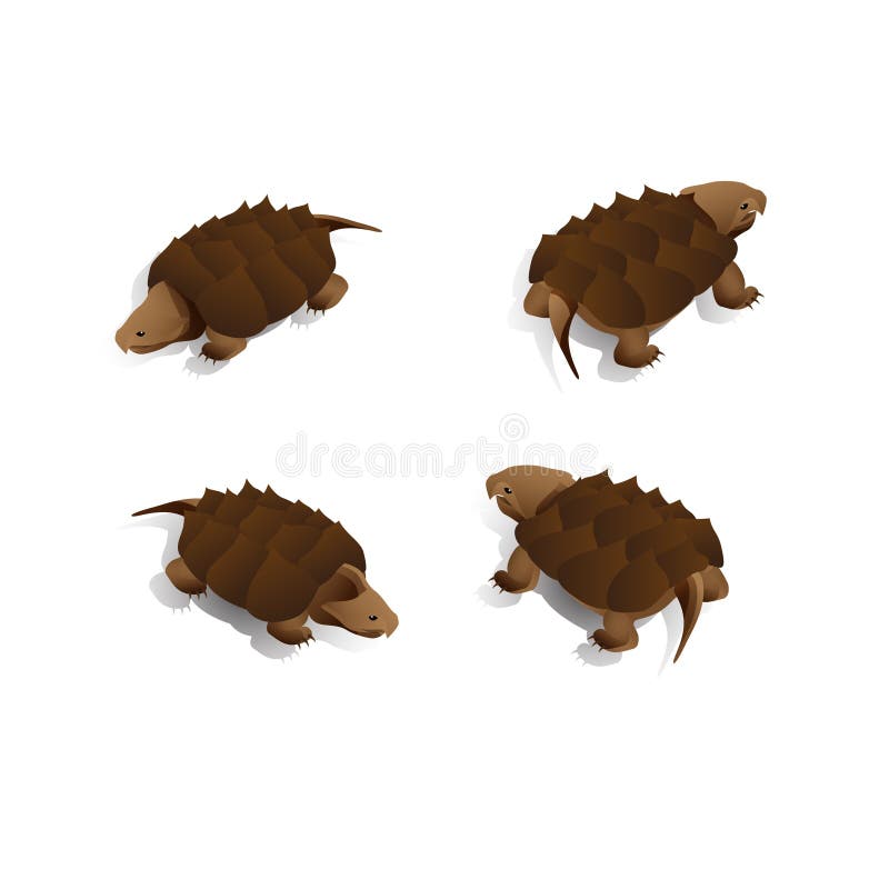 Isometric Turtle. Vector Illustration Decorative Design Stock Vector ...