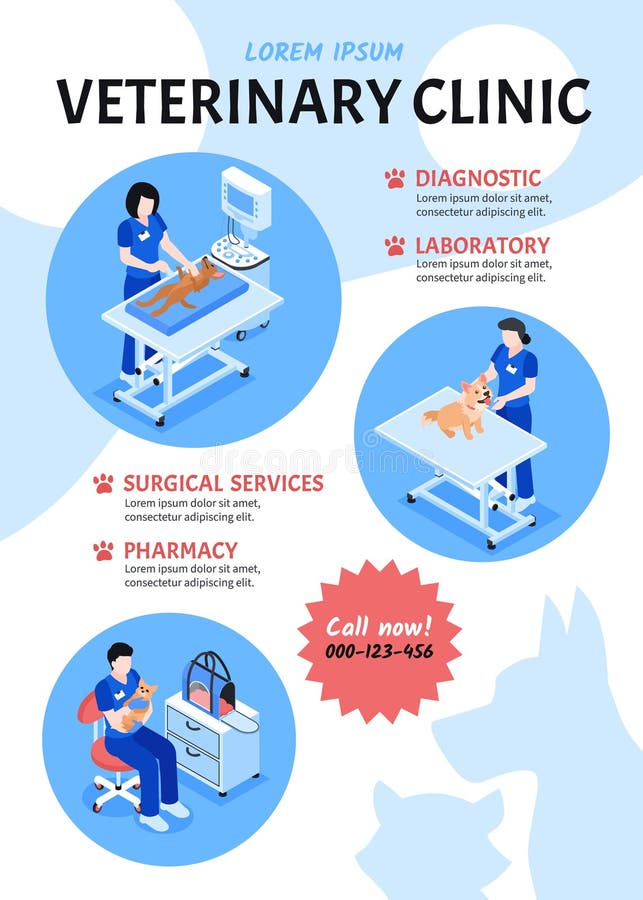 Isometric Veterinary Poster Template Stock Illustration - Illustration ...