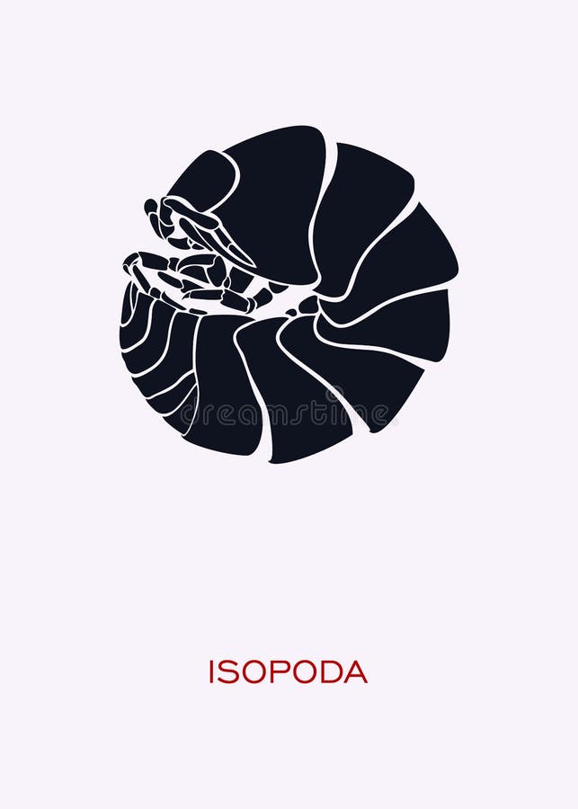 Isopoda. stock vector. Illustration of inhabitants, deep - 174173615