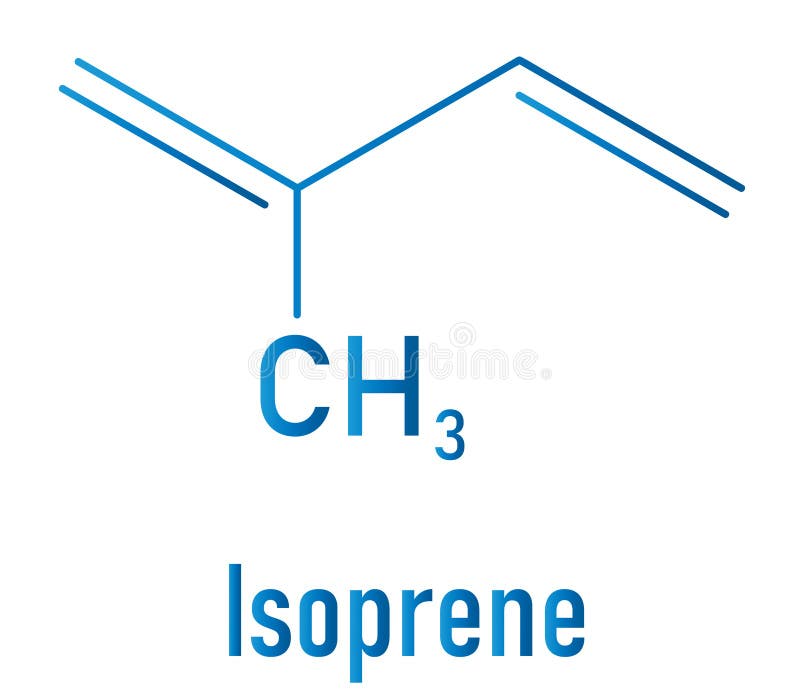 Isoprene, Rubber, Polyisoprene, Building Block, Monomer. Skeletal ...