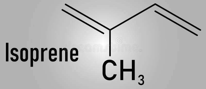 Isoprene, Rubber, Polyisoprene, Building Block, Monomer. Skeletal ...
