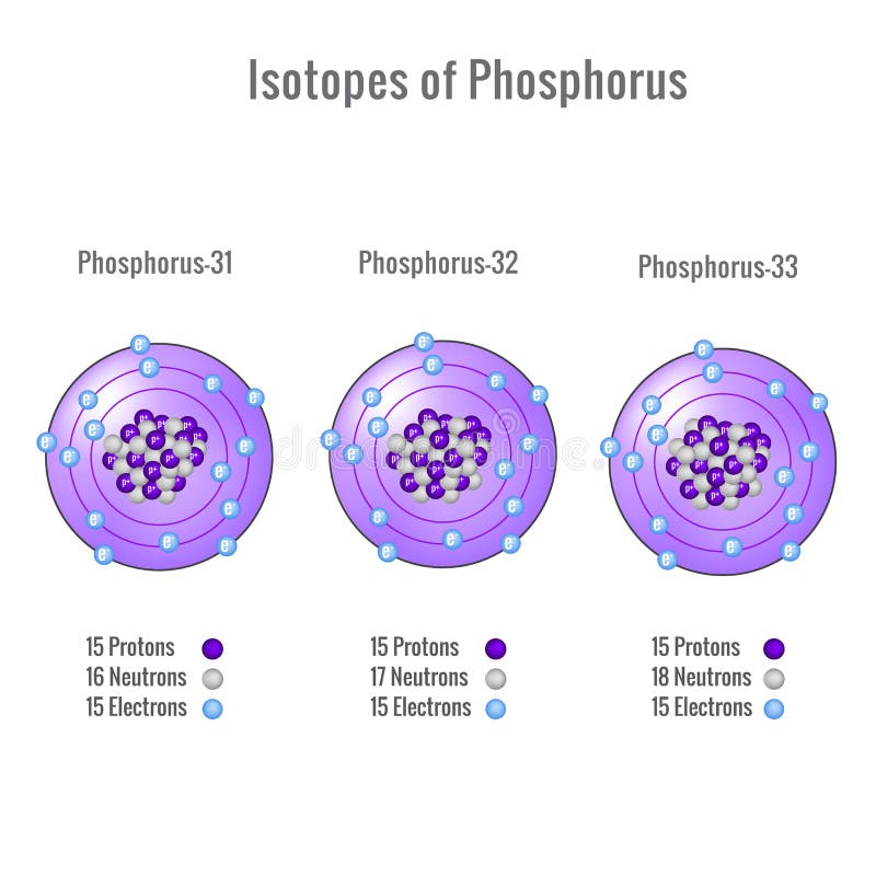 Phosphorus Isotopes Stock Illustrations – 7 Phosphorus Isotopes Stock ...