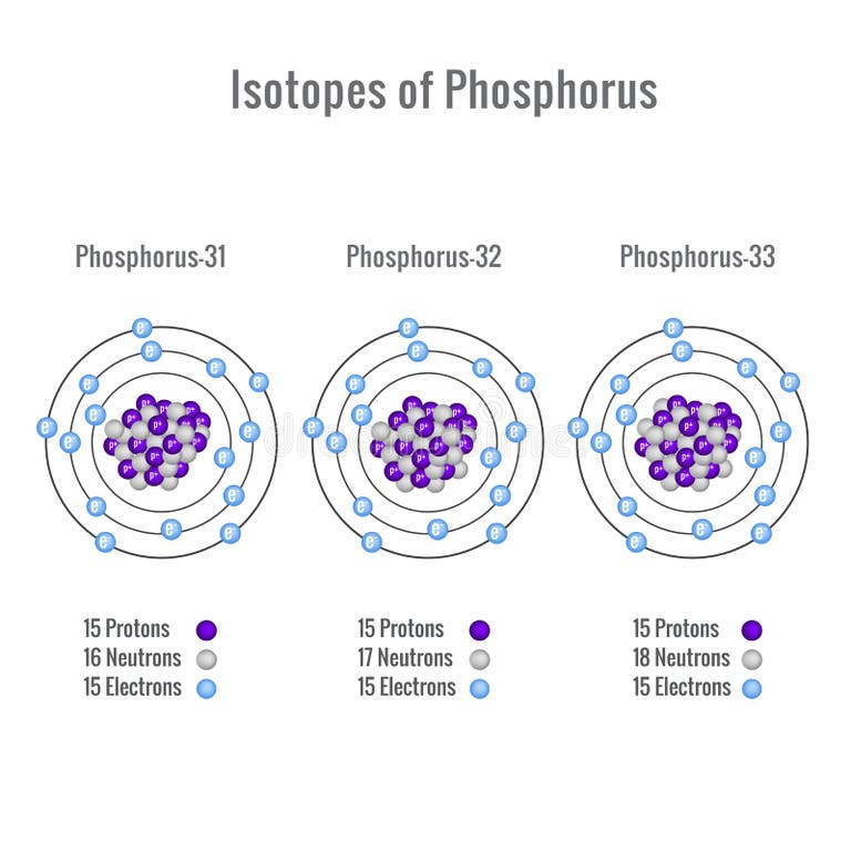 Isotopes of Phosphorus Atom Vector Illustration Stock Vector ...