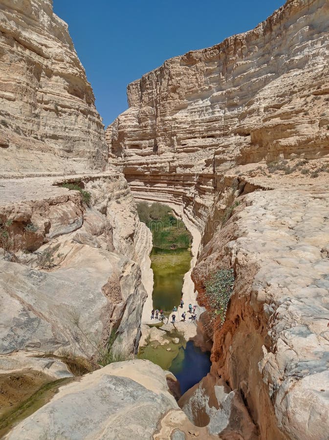 Israel desert oasis negev stock image. Image of oasis - 242712363