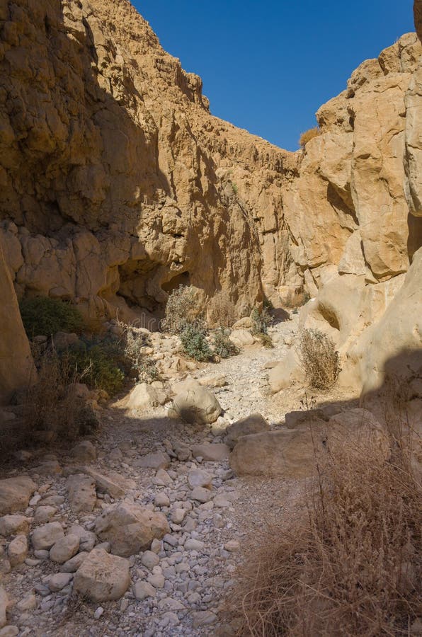 Israel. Desierto Negev imagen de archivo. Imagen de cristianismo - 36139085