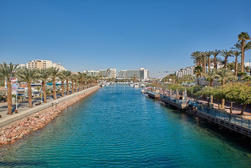 Israel. Eilat editorial image. Image of tree, colorfull - 90085380