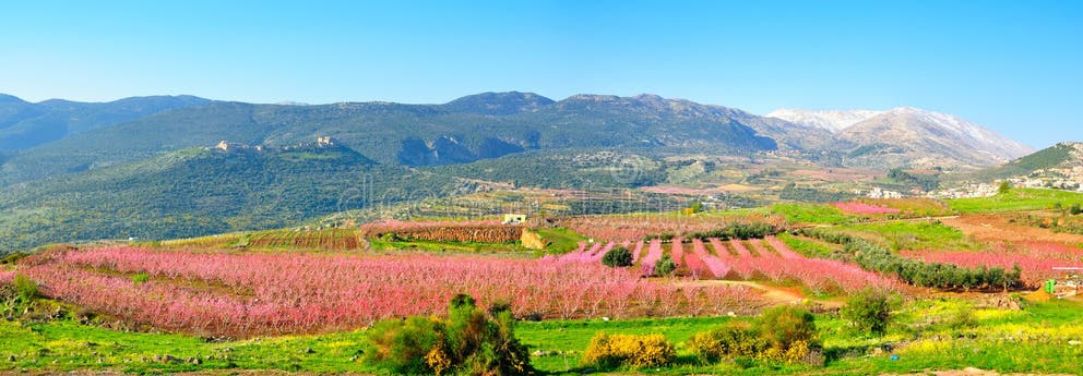 Israel Landscape stock photo. Image of mountain, country - 24078962