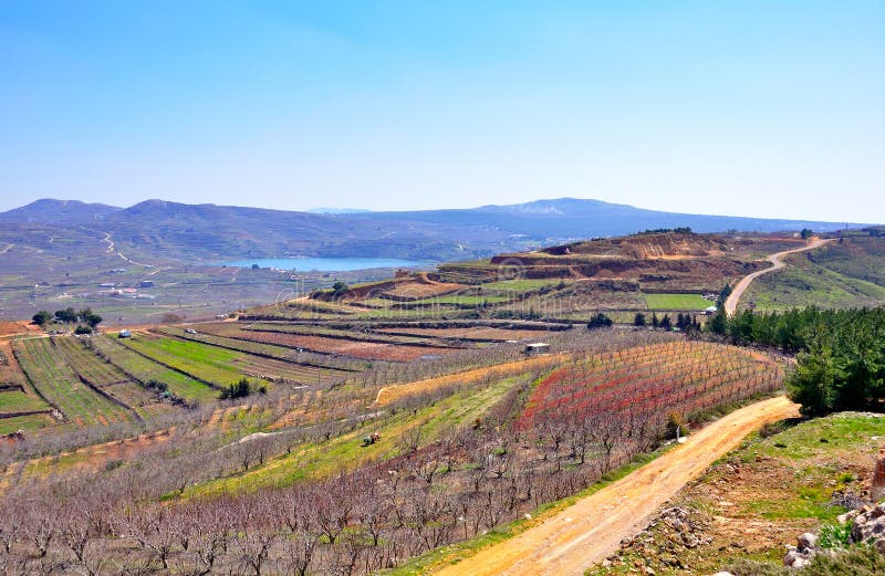Israel Landscape stock photo. Image of ground, garden - 24093146