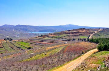 Israel Landscape stock photo. Image of ground, garden - 24093146