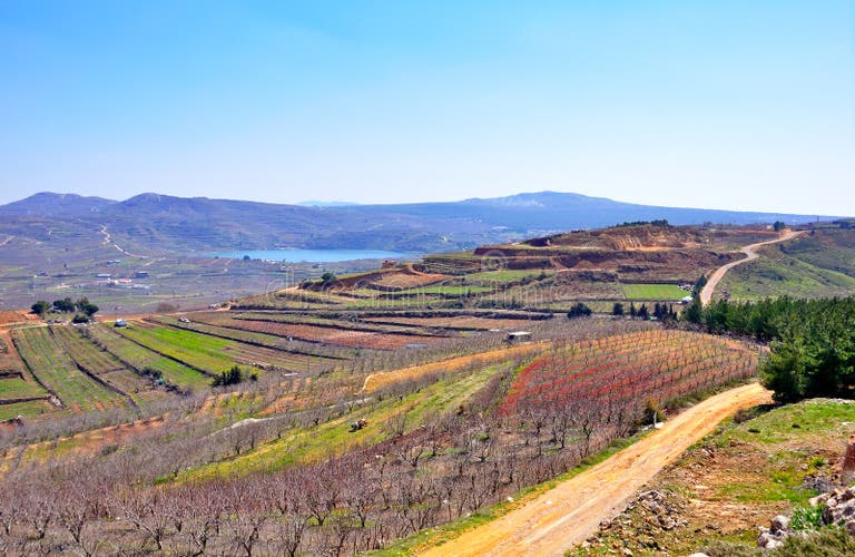 Israel Landscape stock photo. Image of ground, garden - 24093146