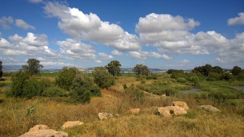 Israel Nature editorial photo. Image of landscape, grass - 89574651