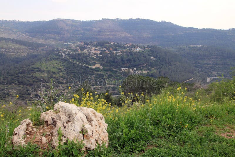 213 Galil Stock Photos - Free & Royalty-Free Stock Photos from Dreamstime