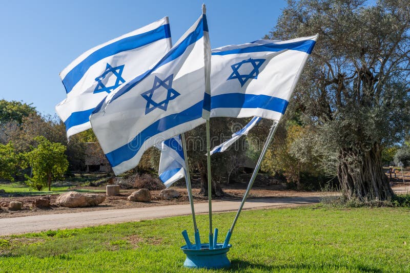 Israeli Flags Waving in Kibbutz Park Setting. Stock Photo - Image of ...