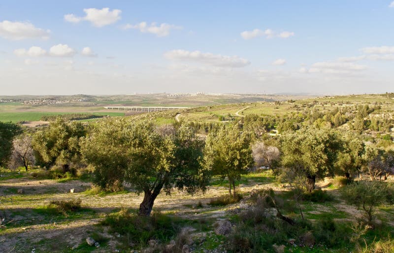 Israeli Spring landscape . stock image. Image of classic - 18546975