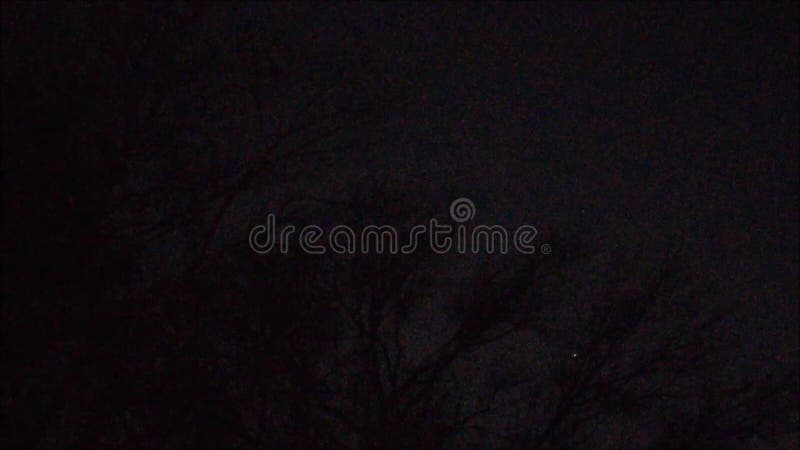 ISS International Space Station Overflight 2017. with Trees. Stock ...