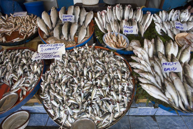 Istanbul Fish Market - Turkey Stock Photo - Image of provisions ...