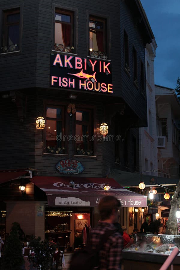 Istanbul by night editorial stock photo. Image of turkey - 31766493