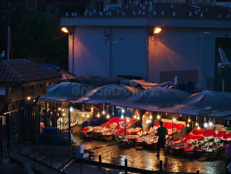 Night Scene from Istanbul Fish Market Editorial Photography - Image of ...