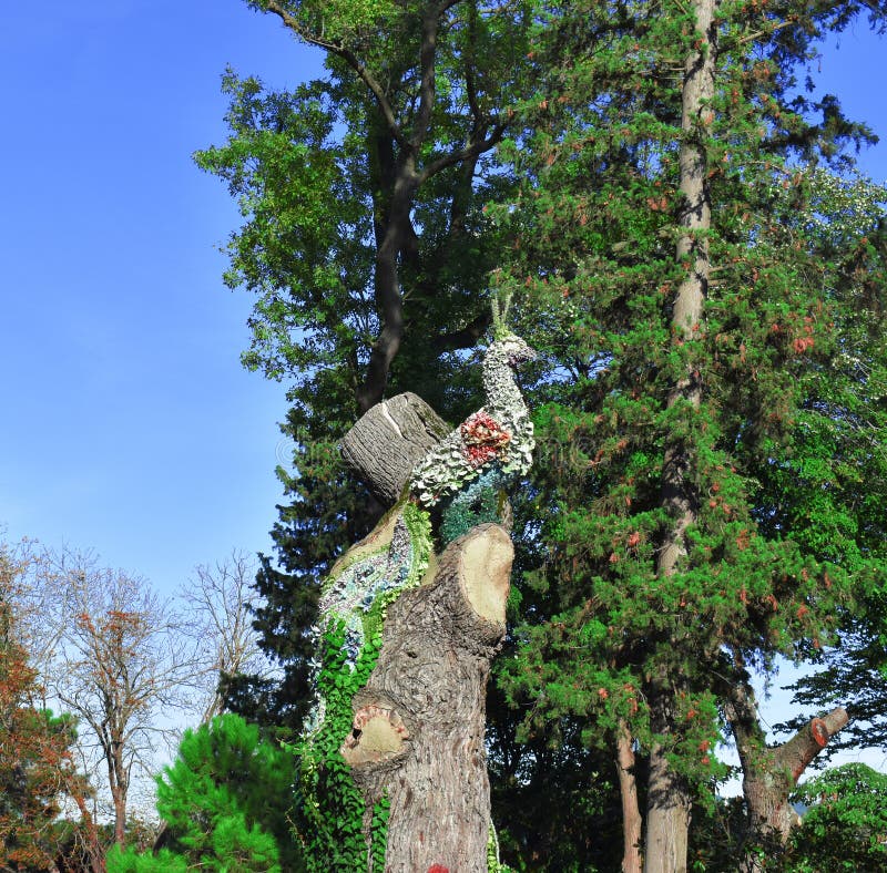 Peacock on the Tree. PEacock on the Tree. Portrait of Beautiful Peacock ...