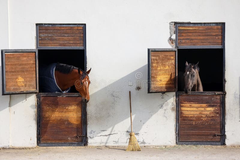 08-04-2023 Istanbul-Turkey: Super League 5th Leg Jumping Competitions ...