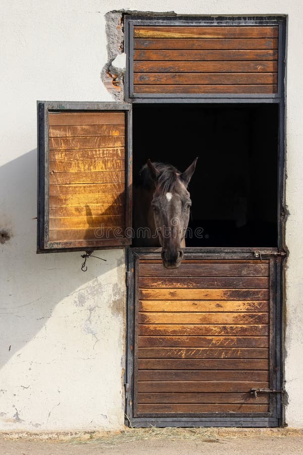 08-04-2023 Istanbul-Turkey: Super League 5th Leg Jumping Competitions ...