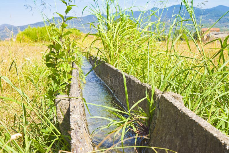 Irrigation Channel with Old Stone Elements in Nature Stock Image ...