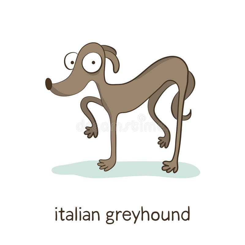 Italiaanse Windhond Hondkarakter Op Wit Vector Illustratie ...