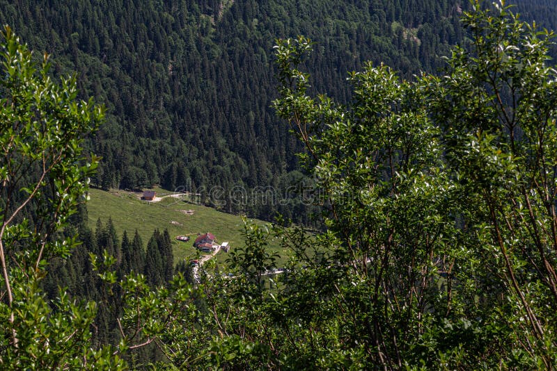 Italian alpine pastures stock image. Image of grass - 243643199