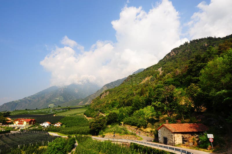 Italian Alps stock image. Image of field, limestone, highlands - 17956455