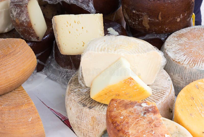 Turkish men playing rummy editorial photography. Image of person - 23745722